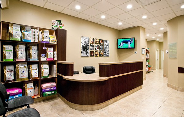 Veterinary Clinic and Hospital Design Projects - Artistree Construction