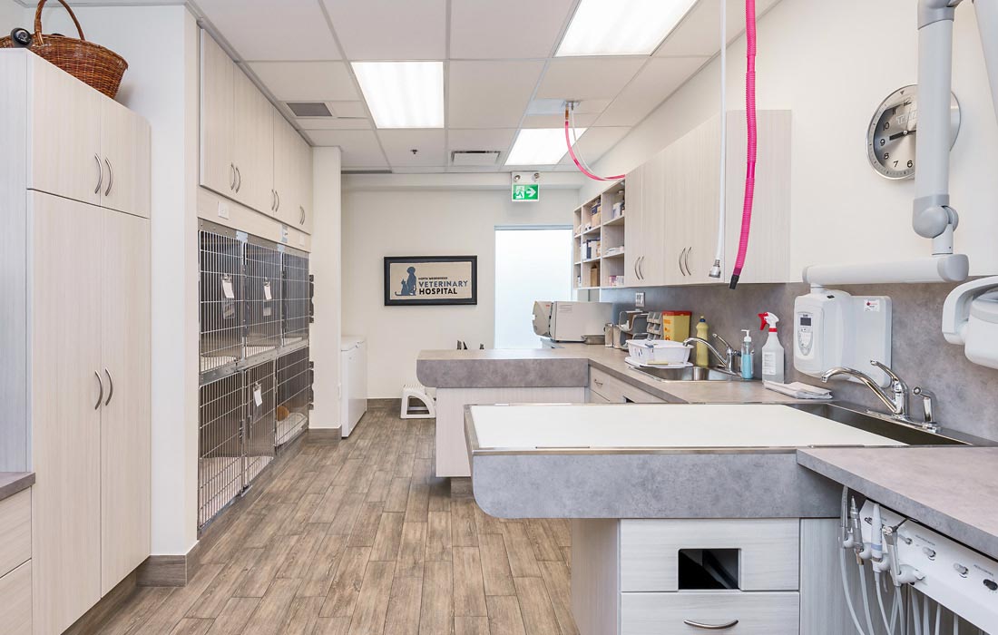 Veterinary Clinic and Hospital Design - Artistree Construction